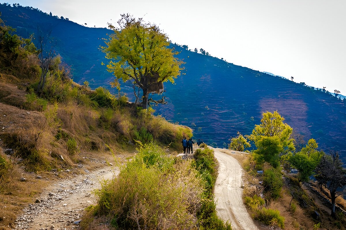 Nag Tibba Trek – A Perfect Weekend Adventure in Uttarakhand
