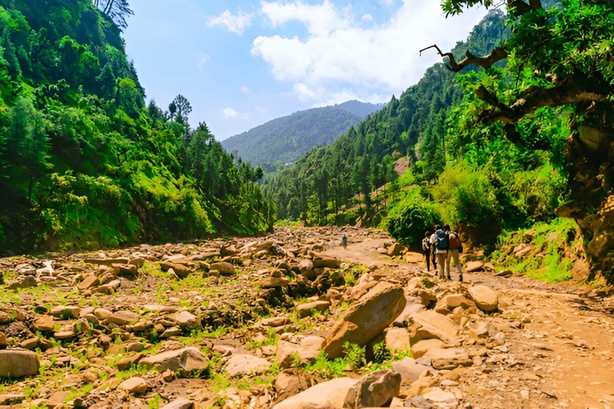 Prashar Lake Trek | Itinerary, Costs & Booking Info